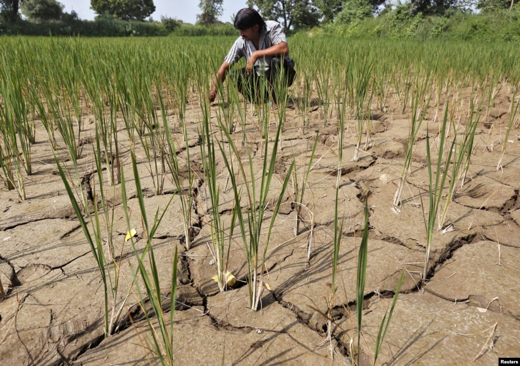 India Hoping for Plentiful Monsoon