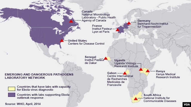 WHO: Ebola Spread Outpaces Control Effort WHO: Ebola Spread Outpaces Control Effort