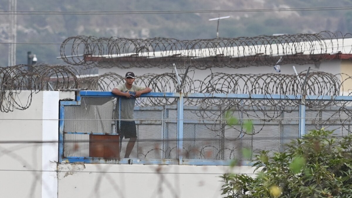 Dozens Arrested After Gang Violence Escalates in Ecuador