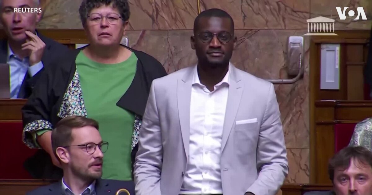 Far-right French MP Racial Outburst Causes Commotion