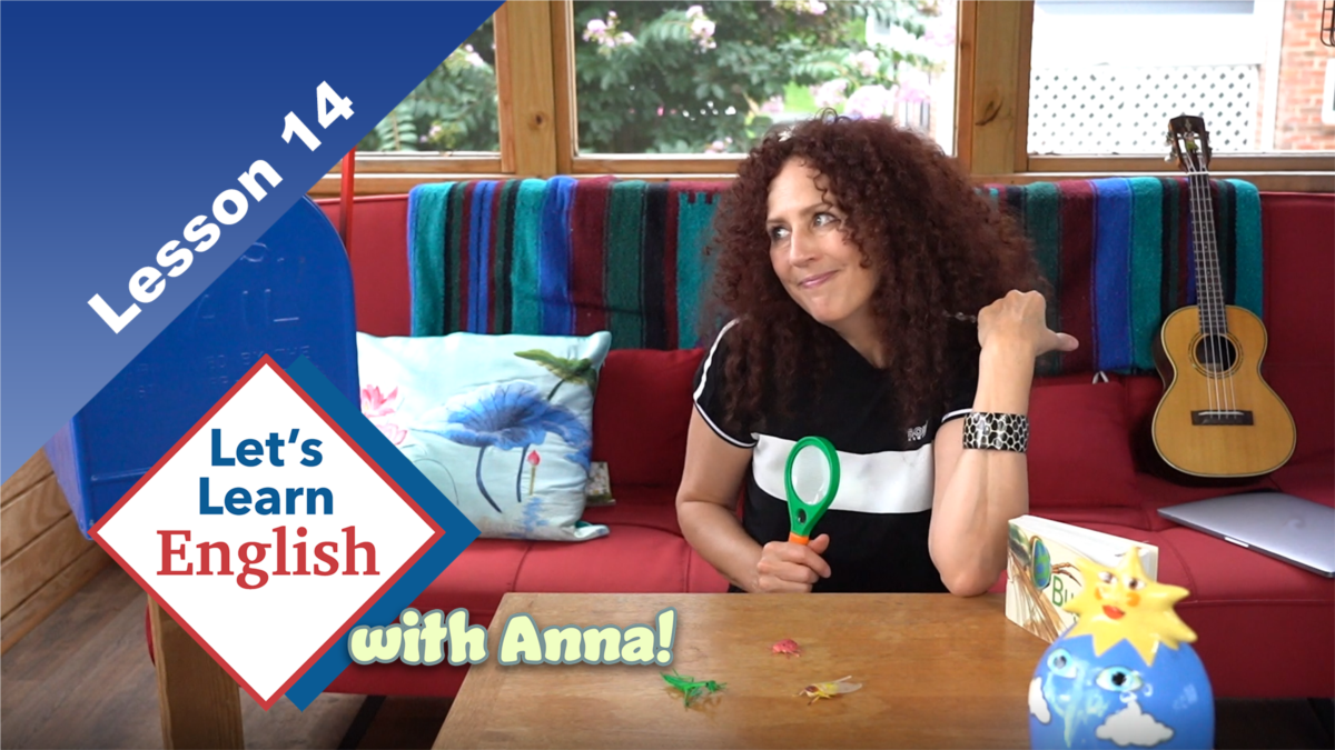 Lesson 14: What Is Your Favorite Bug?