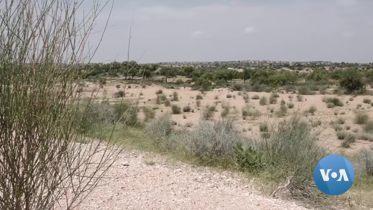 Heavy Rain Transforms Arid Landscape