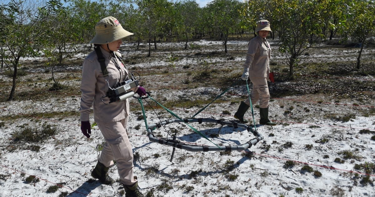 US Helps to Remove Landmines Left Behind After Wars in Southeast Asia