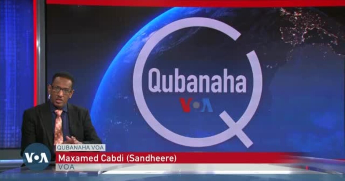 Qaadista cunaqabateynta hubka, halis mise horumar?