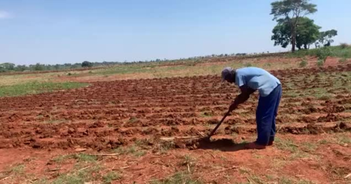 Farmer Tilling Land