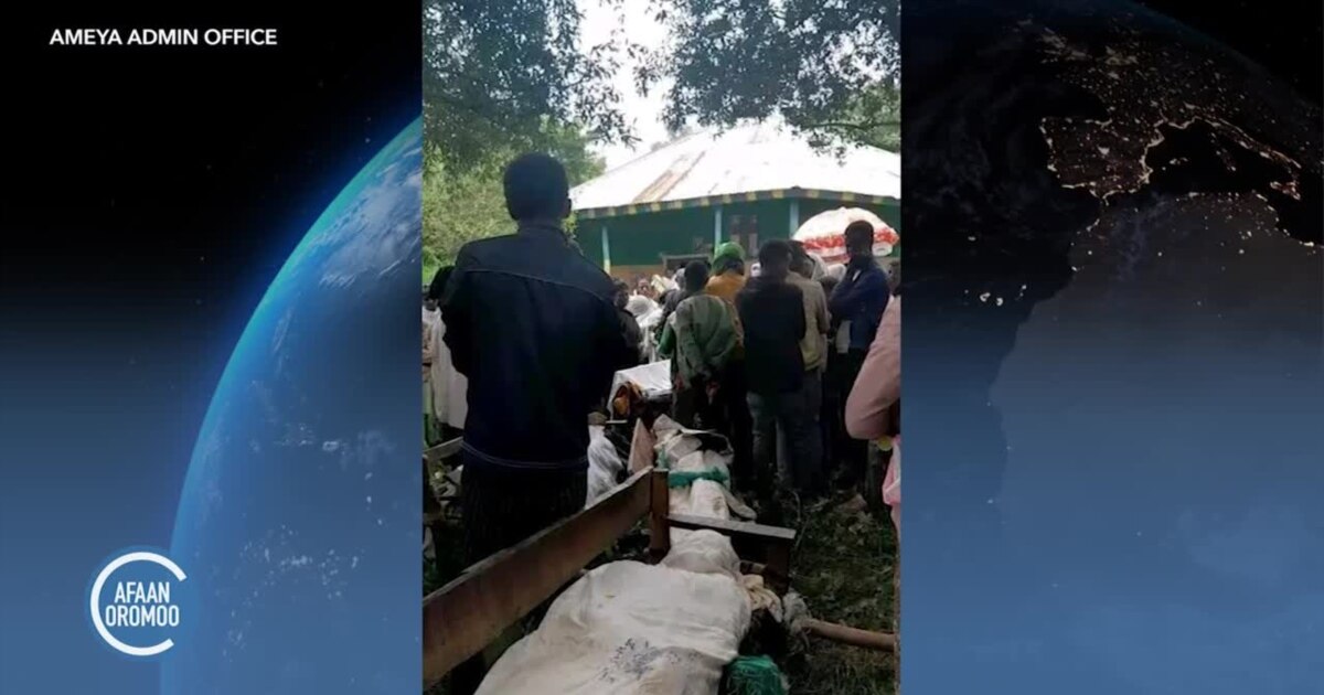 Haleellaa Hidhattoonni Shawaa Kibba Lixa, Aanaa Ammayyaatti Raaw ...
