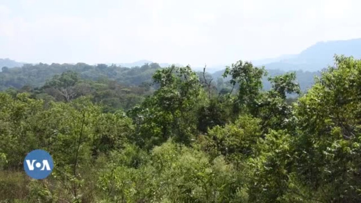 Iluu Abbaa Boor Bakkawwan Uumamaan Qalbii Daawwattootaa Hawatan Hedduu ...