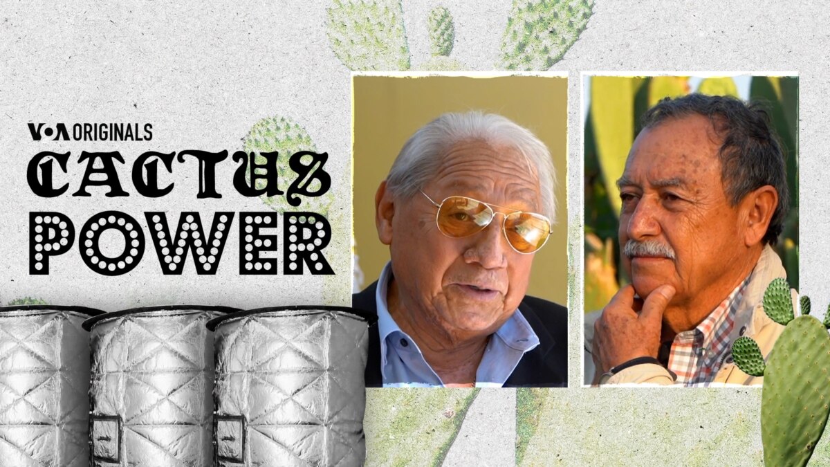 Preview: Cactus Power