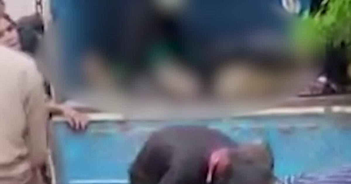 Tragedi Desak-desakan Acara Keagamaan di India, Setidaknya 121 Tewas