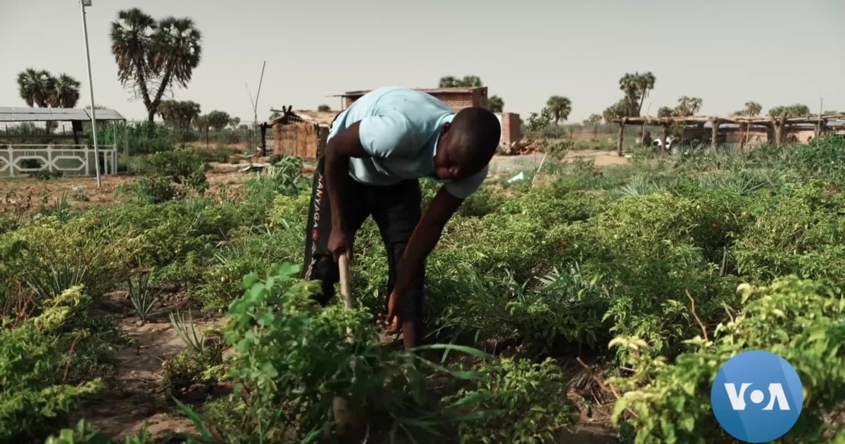 Climate Change Causes Conflict Among Chad's Fulani People
