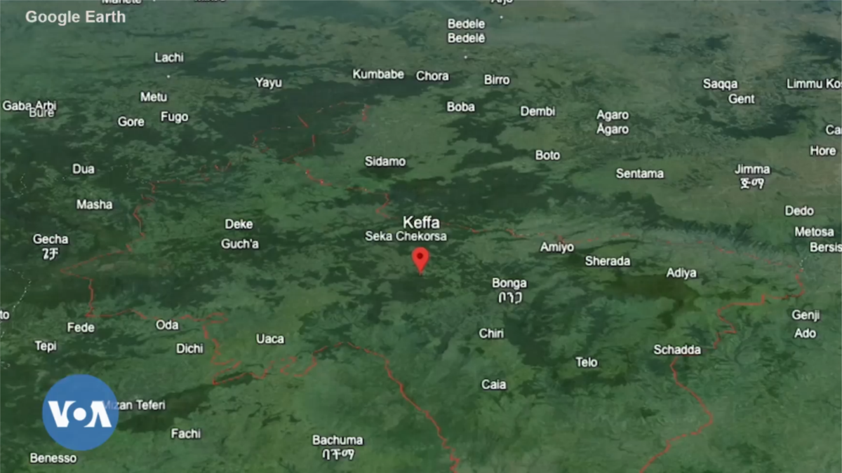 Qonnaan Bultoonni Godina Kafaa Aanaa Deechaa Qe’ee Isaaniitti Akka ...