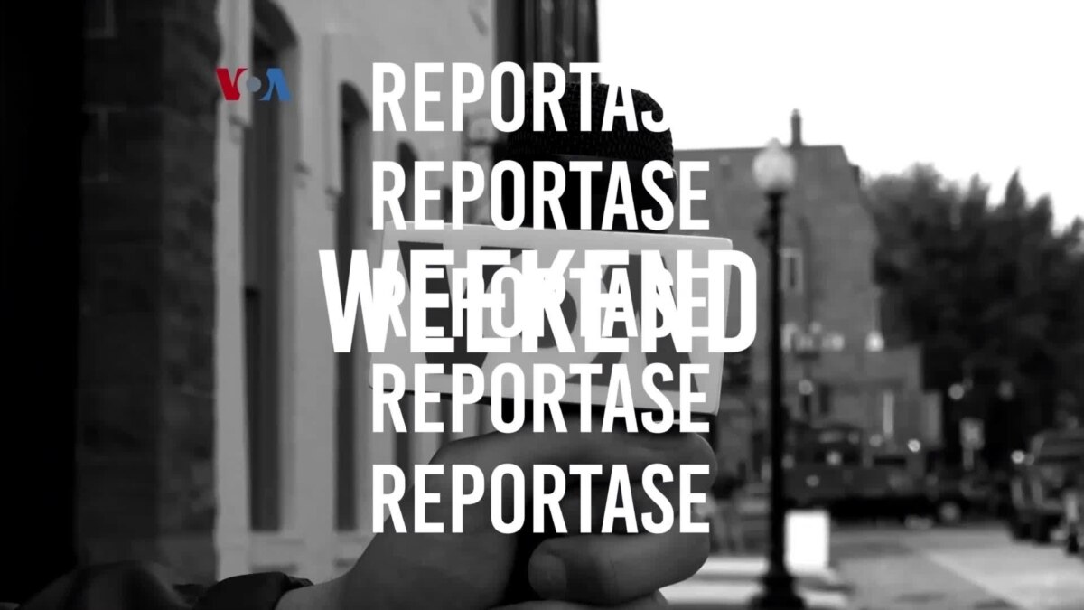 Reportase Weekend: Wynwood Miami, Kawasan Penuh Warna Diaspora Semarang ...