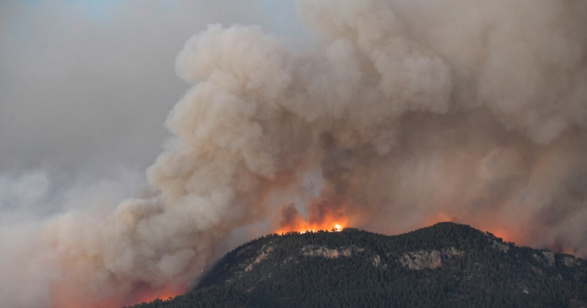 Wildfire in Spain Forces Hundreds to Flee, Leave Animals Behind