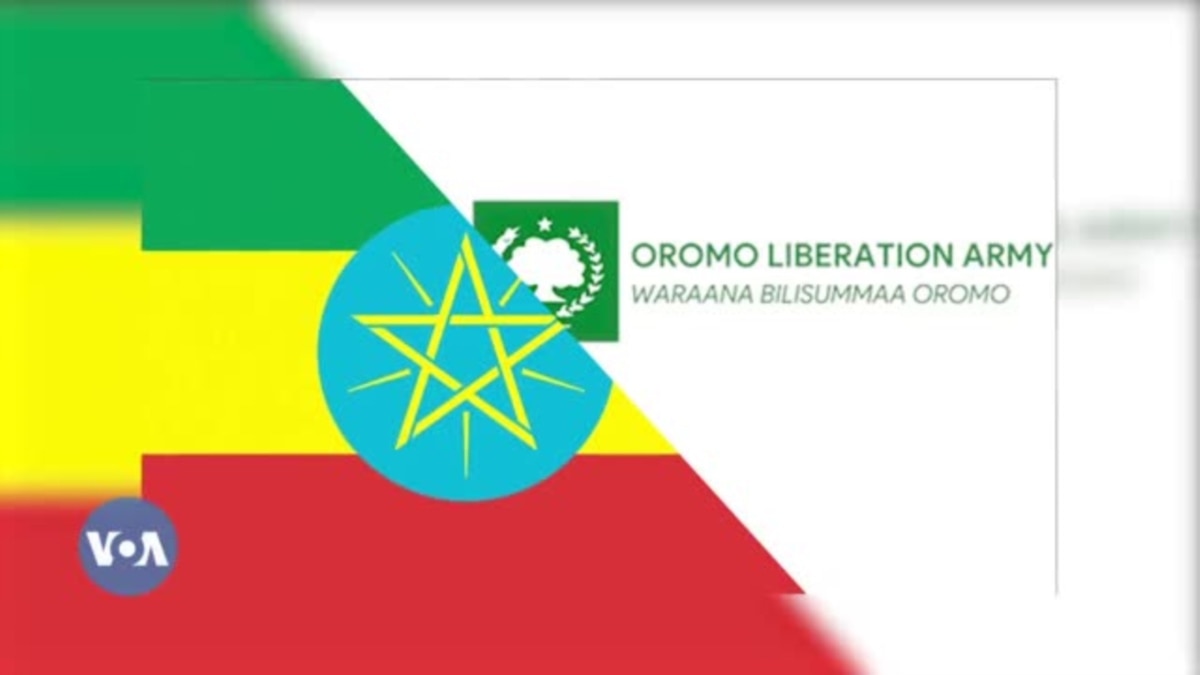 Mootummaa Itiyoophiyaa fi Waraana Bilisummaa Oromoo Gidduutti Mariin ...