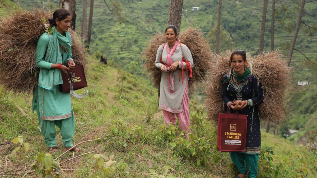 In India, Women Craft Pine Needles Into Income, Save Forests