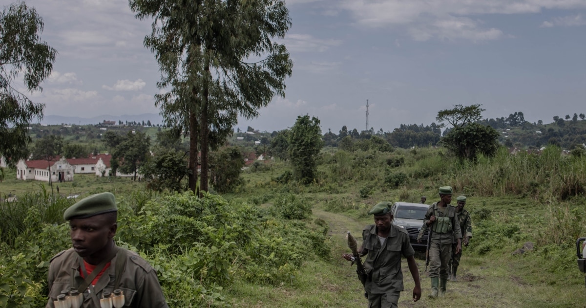 Kundi la M23 lauteka mji wa Kalembe mashariki mwa nchi