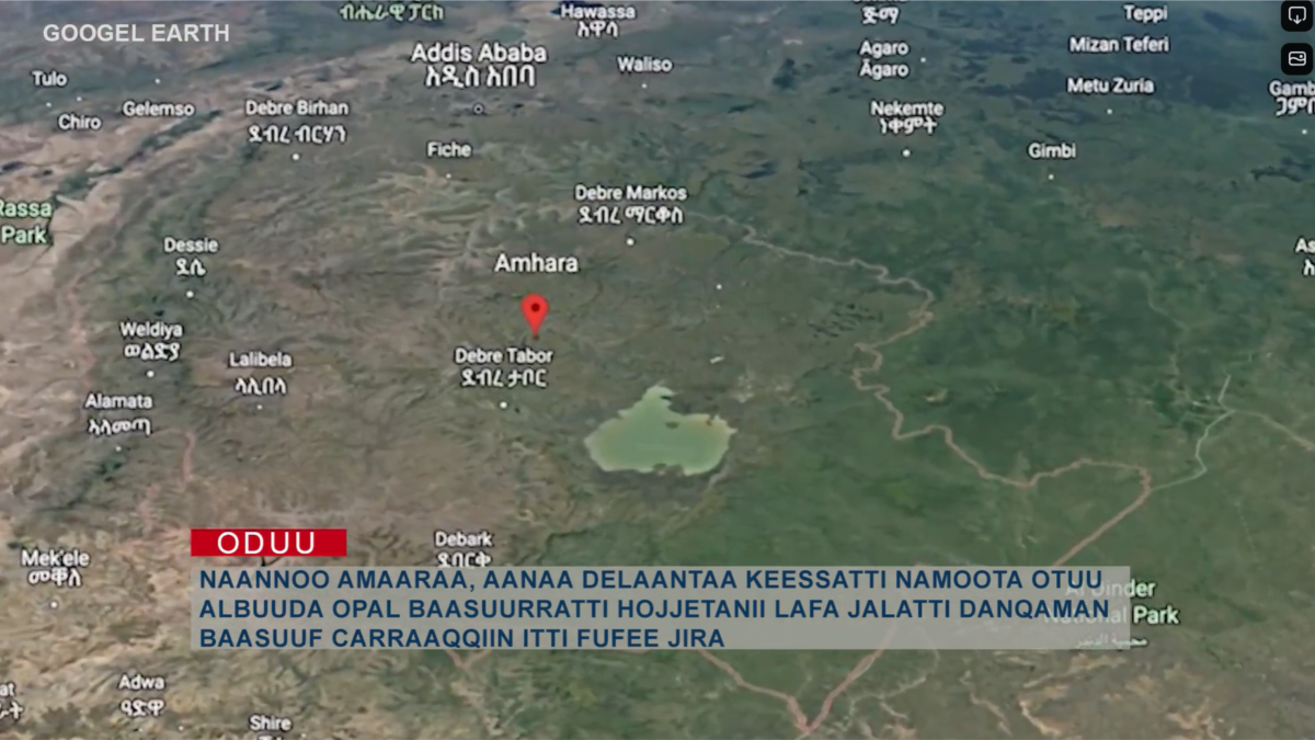 Naannoo Amaaraa, Aanaa Dilaantaa Keessatti Namoonni Otuu Albuuda ...