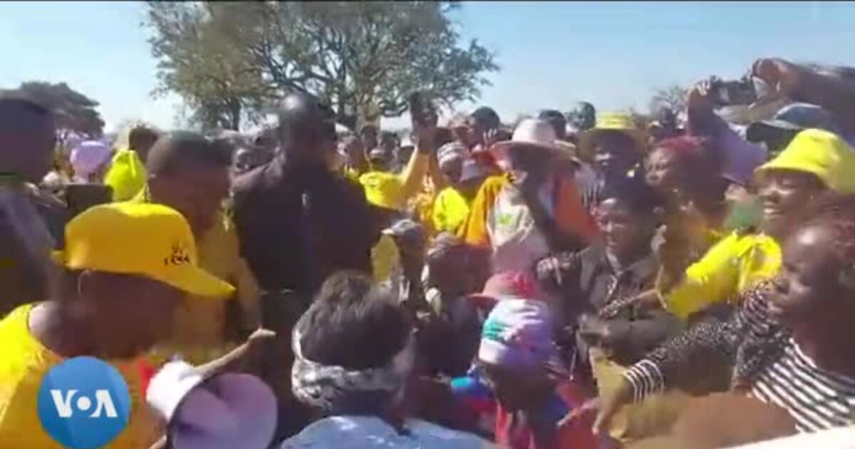 Nelson Chamisa Dancing At CCC Rally