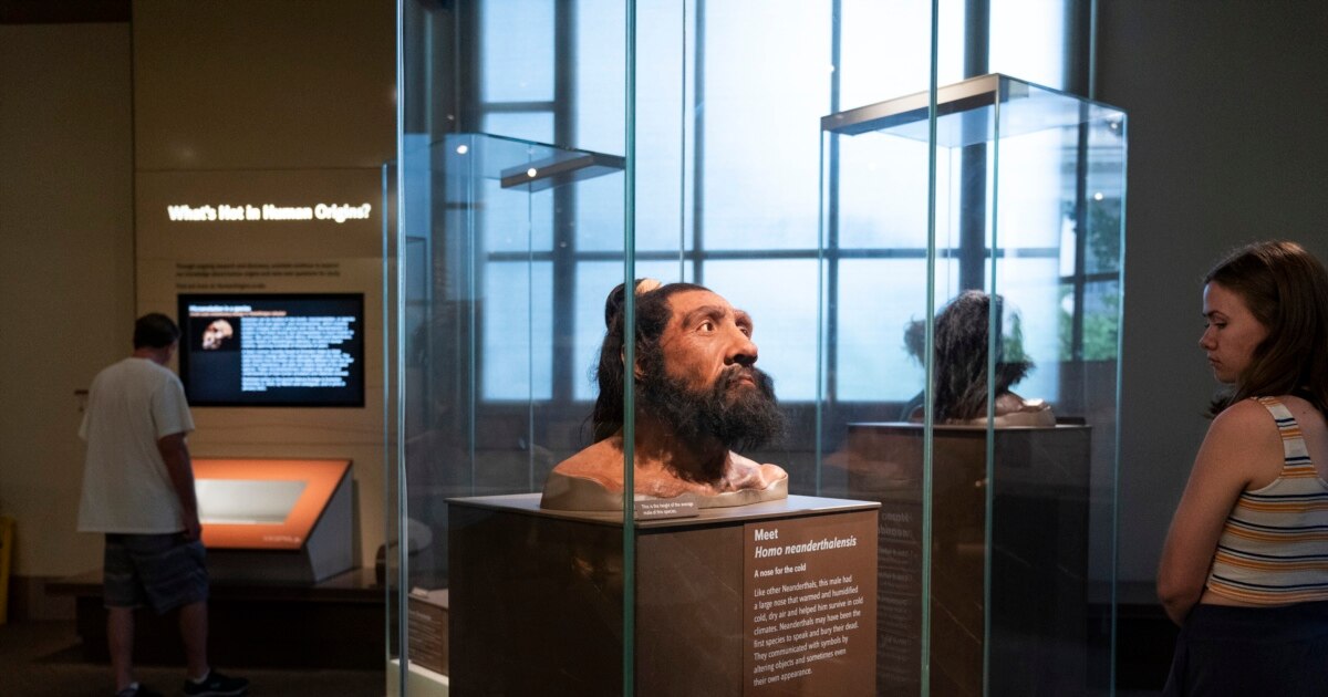 Science Revealing Genetic Legacy of Human's Cousins Like Neanderthals