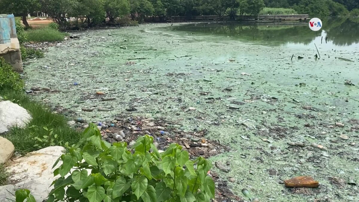 Adelso Pineda, contaminación Parque La Marina, Venezuela