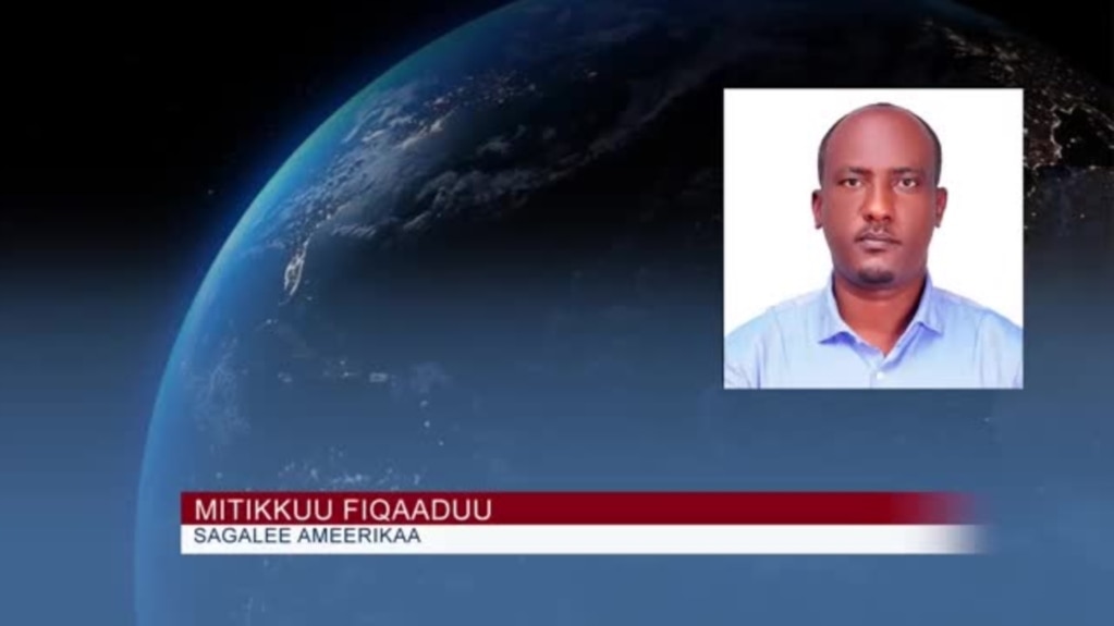 Barri 2023 Namoota Itiyoophiyaa Keessa Jiraatan, Keessumaa Dargggootaaf ...