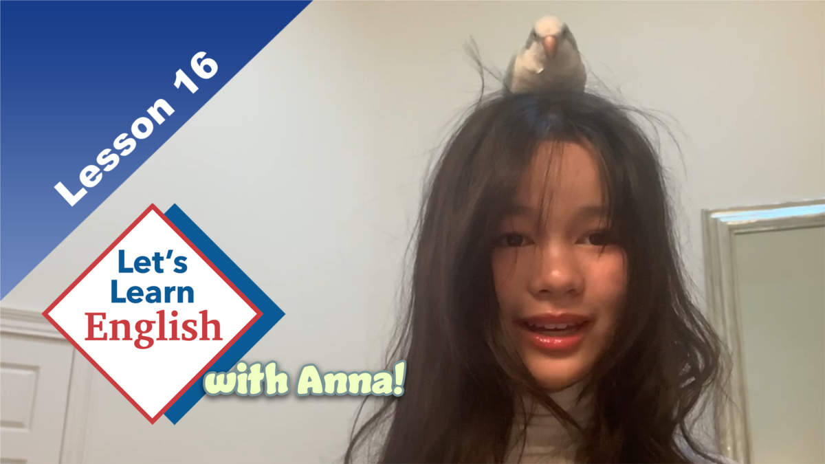 Lesson 16: What Can Pets Do?