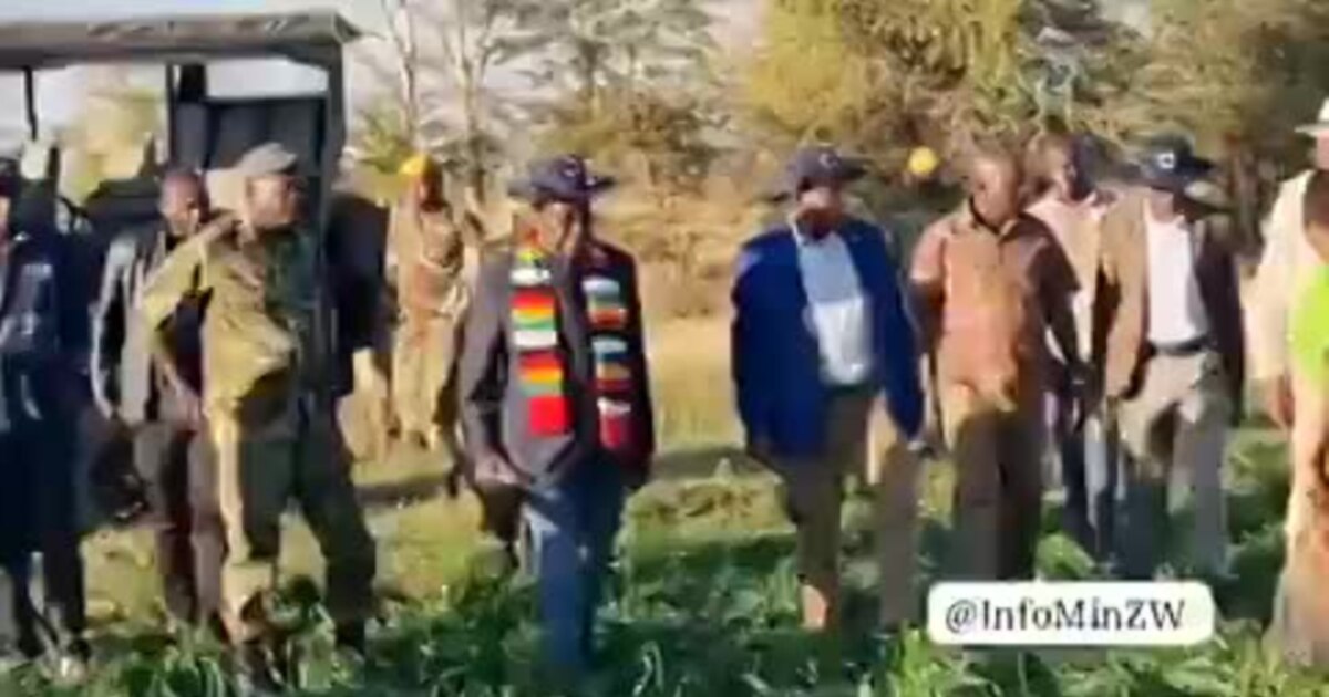 Mnangagwa, Masisi Touring Zimbabwe President's Farm With Ankole Cattle