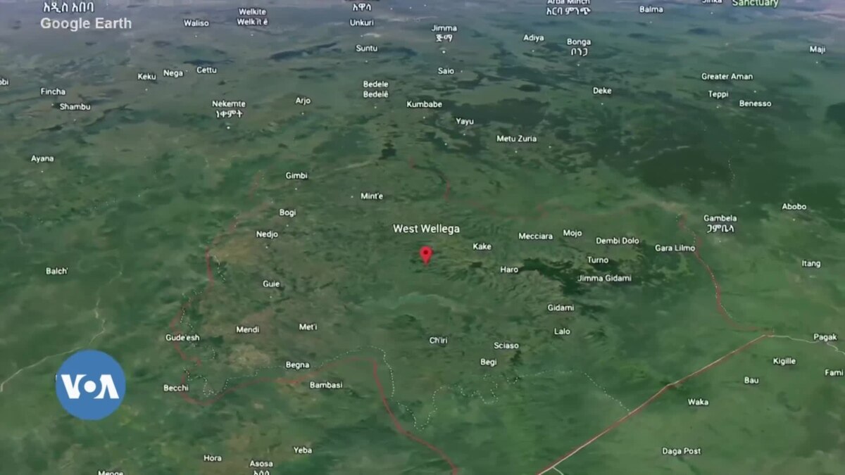 Wallagga Lixaa Aanaa Qondaalaa Keessatti Waraansa Humnoota Mootummaa fi ...