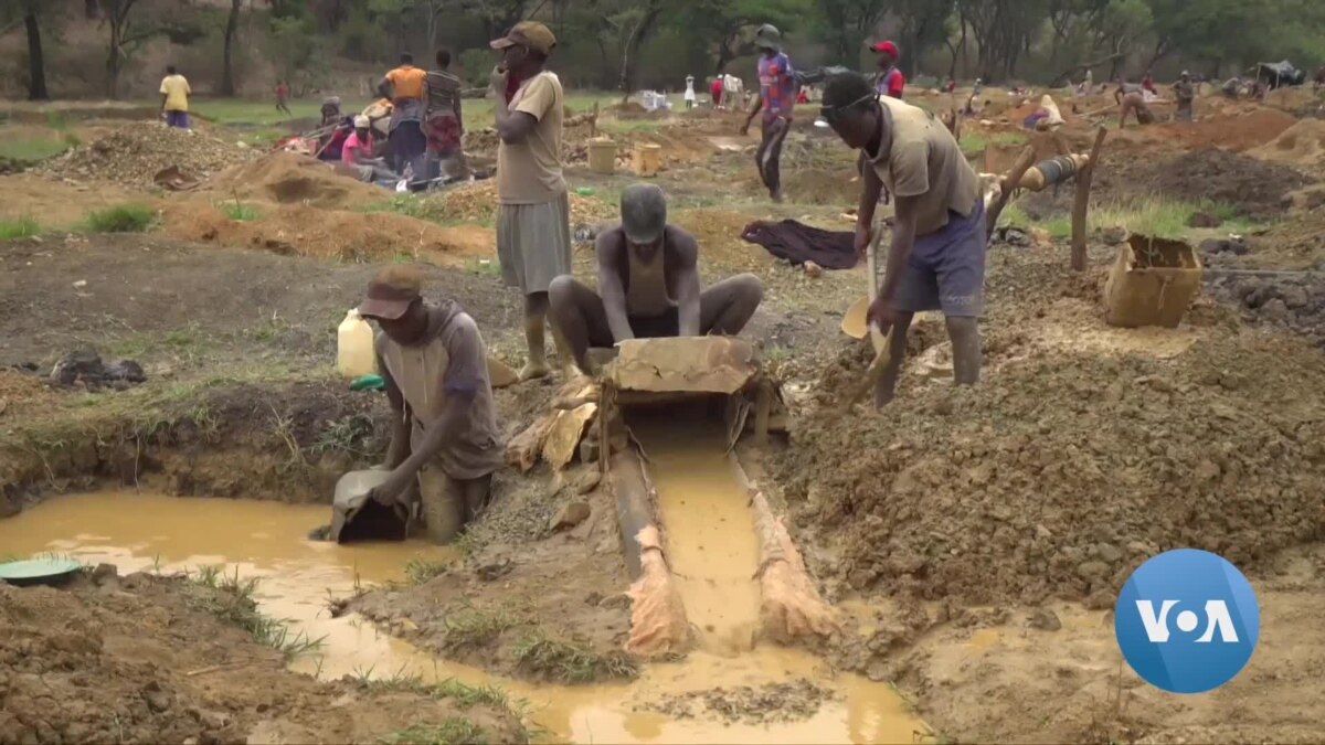 Alleged Gold Smugglers Welcome Zimbabwe’s ‘Gold Mafia’ Probe