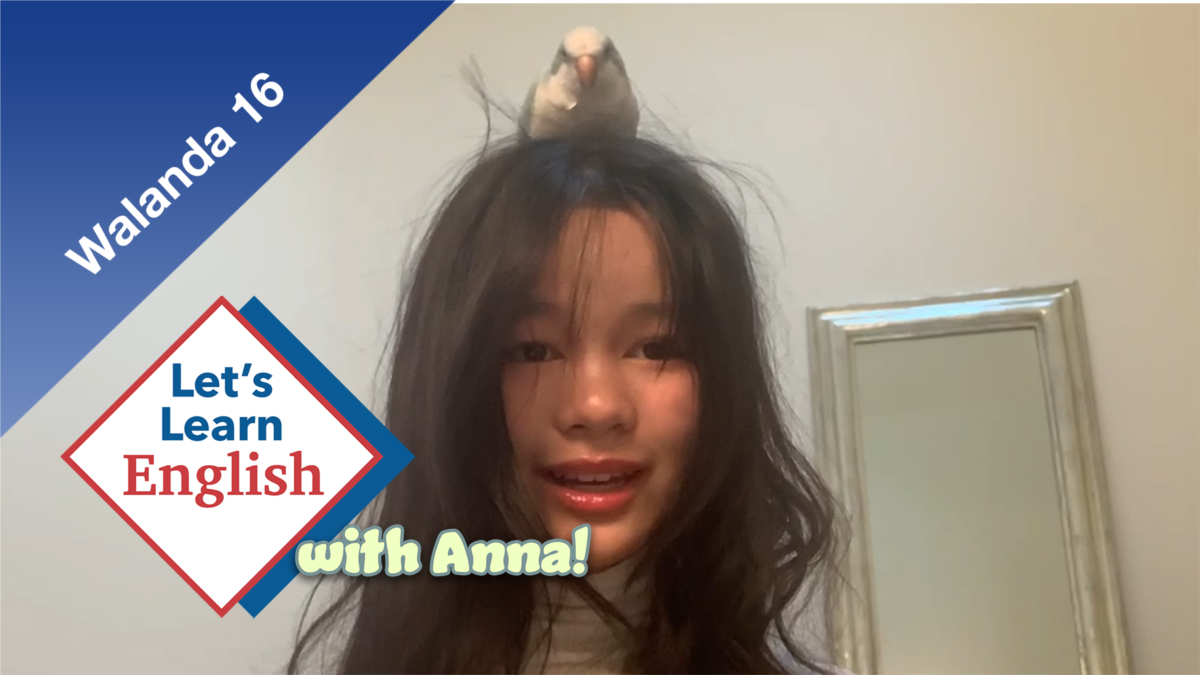 What Can Pets Do? Bambara Lesson 16