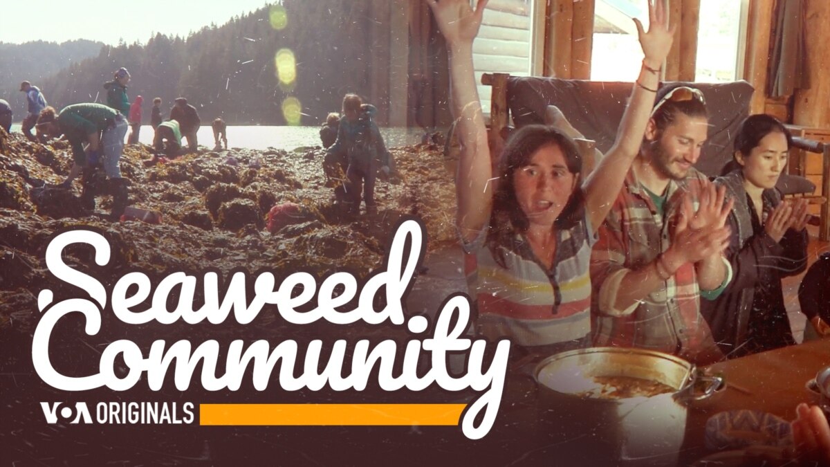 Seaweed Community (S3, E35)