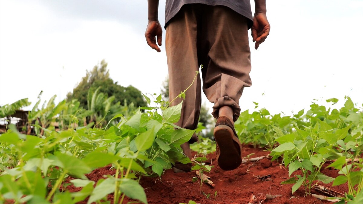 Experts: As Global Hunger Soars, Sustainable Foods Needed