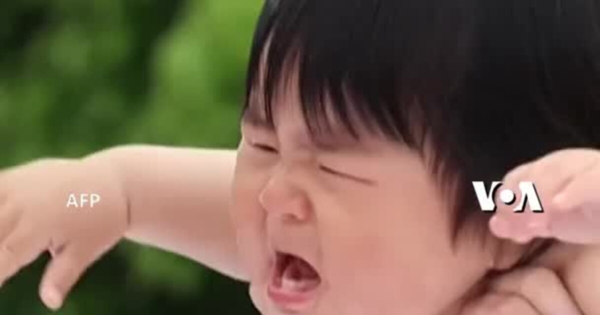 Sumo Bayi, Adu Tangis Paling Kencang!