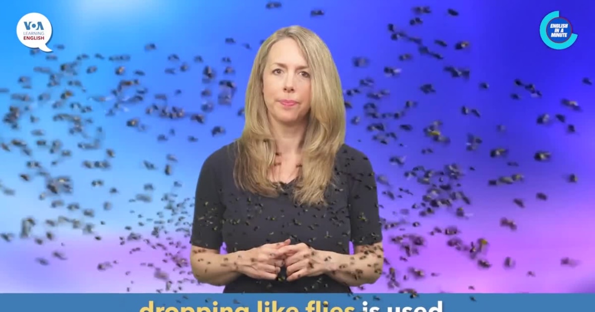 ພາສາອັງກິດ ໃນນຶ່ງນາທີ, “Dropping like flies” ແປວ່າ “ຕົກລົງມາຕາຍເປັນຈຳນວນຫຼວງຫຼາຍຄືແມງວັນ ...