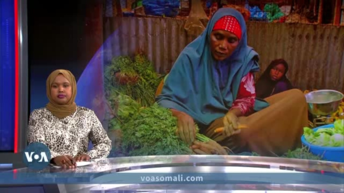 Qiimaha khudaarta Beledweyne oo aad hoos u dhacay