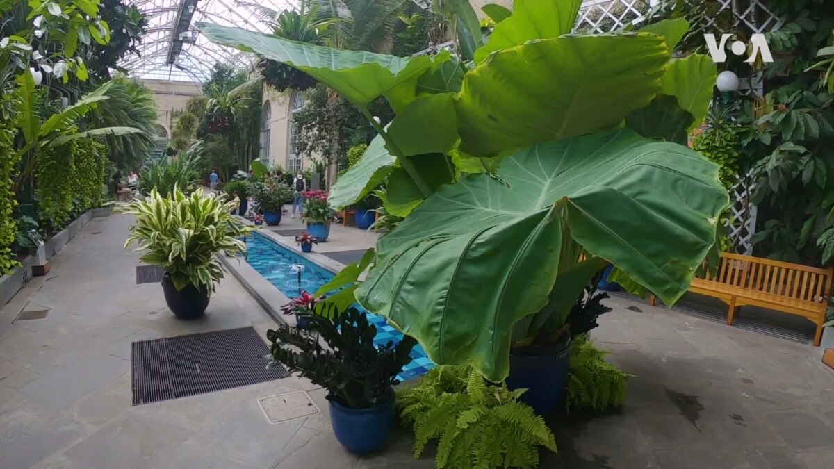 Nature | Botanic Garden