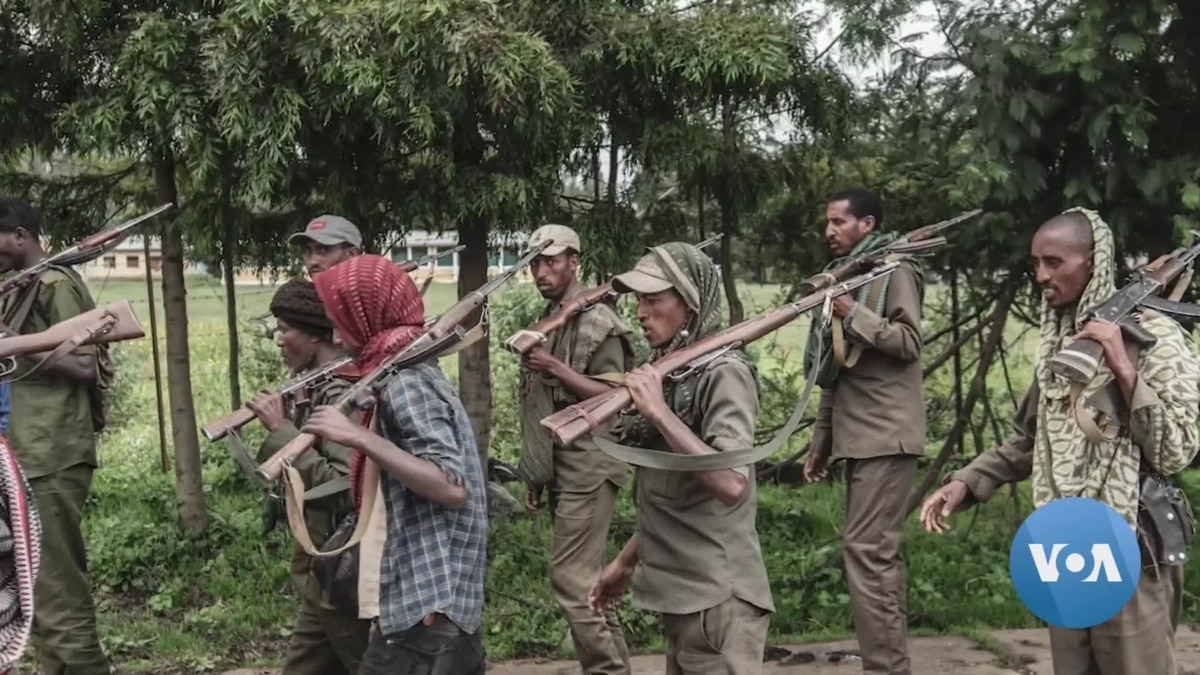 Shawaa Kaabaa Darraatti Lola Faannoo fi Humnoota Mootummaa Gidduutti ...