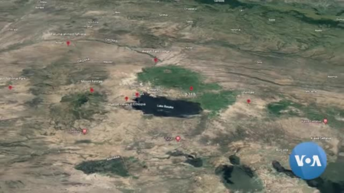 Bakka-bu’aan Abbaa Bokkuu Karrayyuu Reebicha Humnoota Mootummaatiin ...