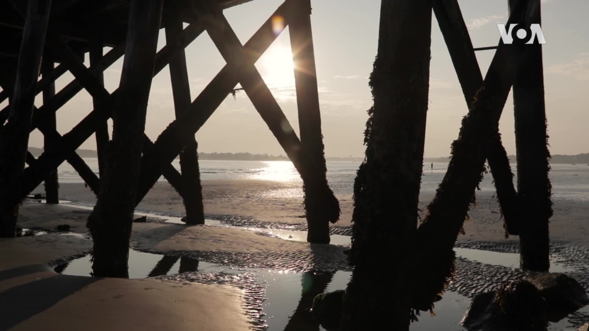 Nature | Fort Foster Park