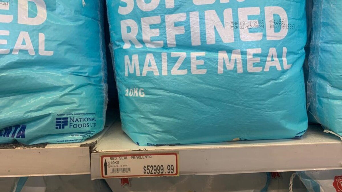 Hurumende Yoyambira veMabhizimusi Kuti Vasakwidza Mitengo muNguva Ino ...