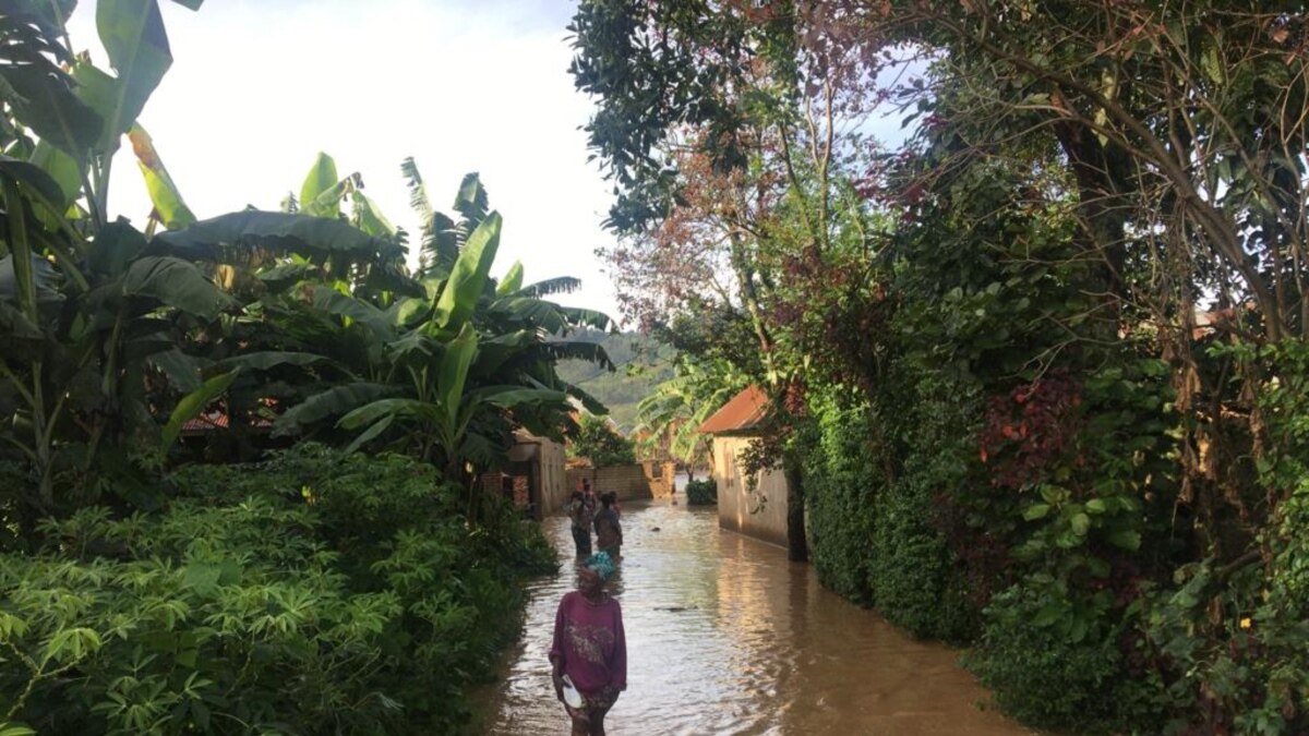 Abarenga 120 Bahitanywe n'Imyuzure y'Imvura mu Rwanda