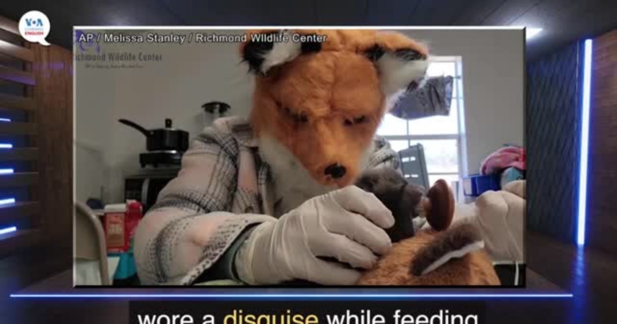 News Words: Disguise