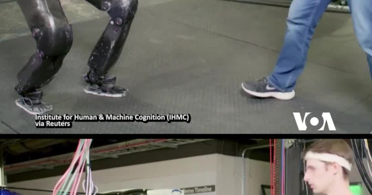 Robot Nadia Bisa 'Gelut' dengan Manusia