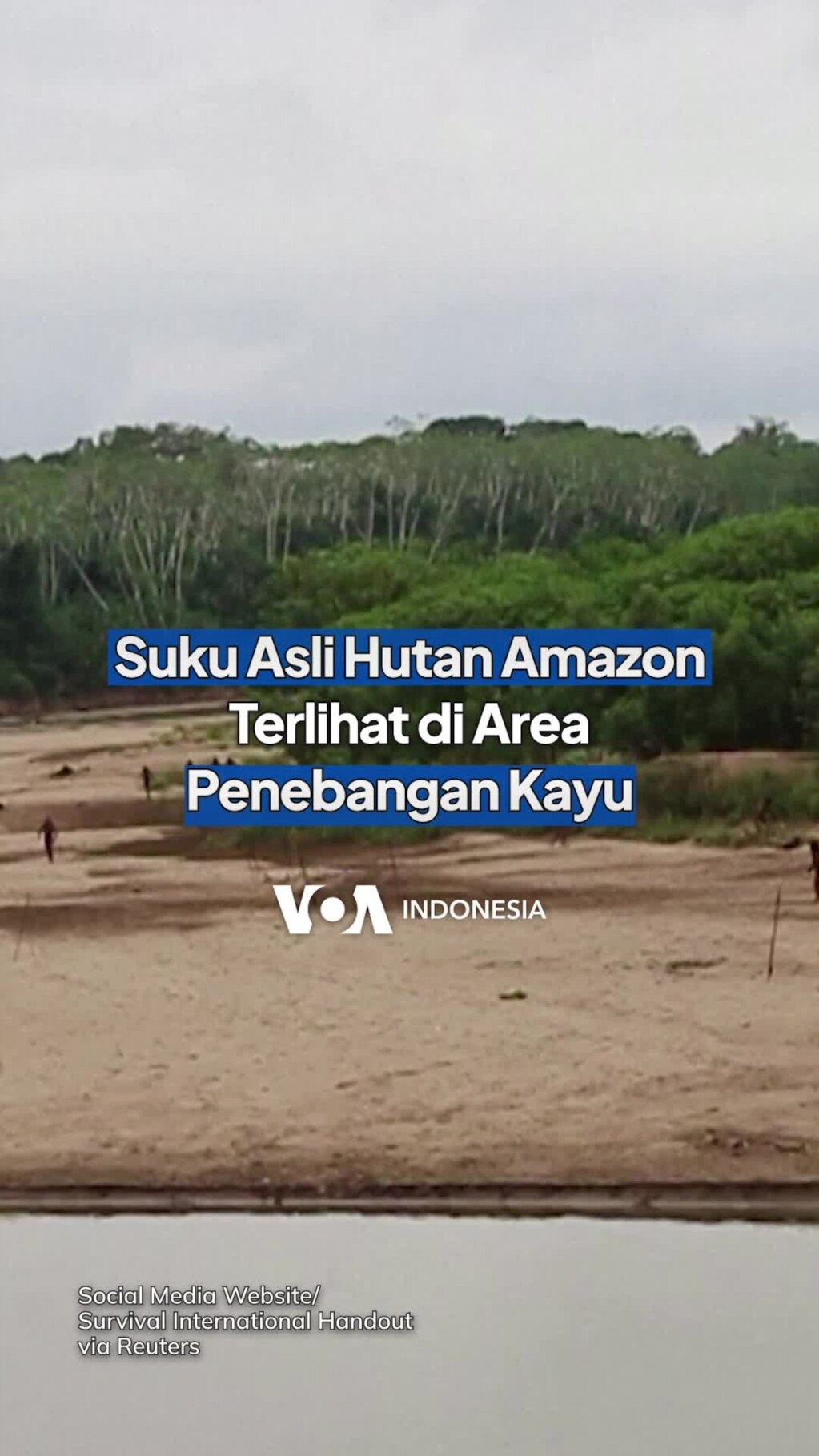 Suku Asli di Hutan Hujan Amazon Muncul di Area Penebang Kayu Beroperasi