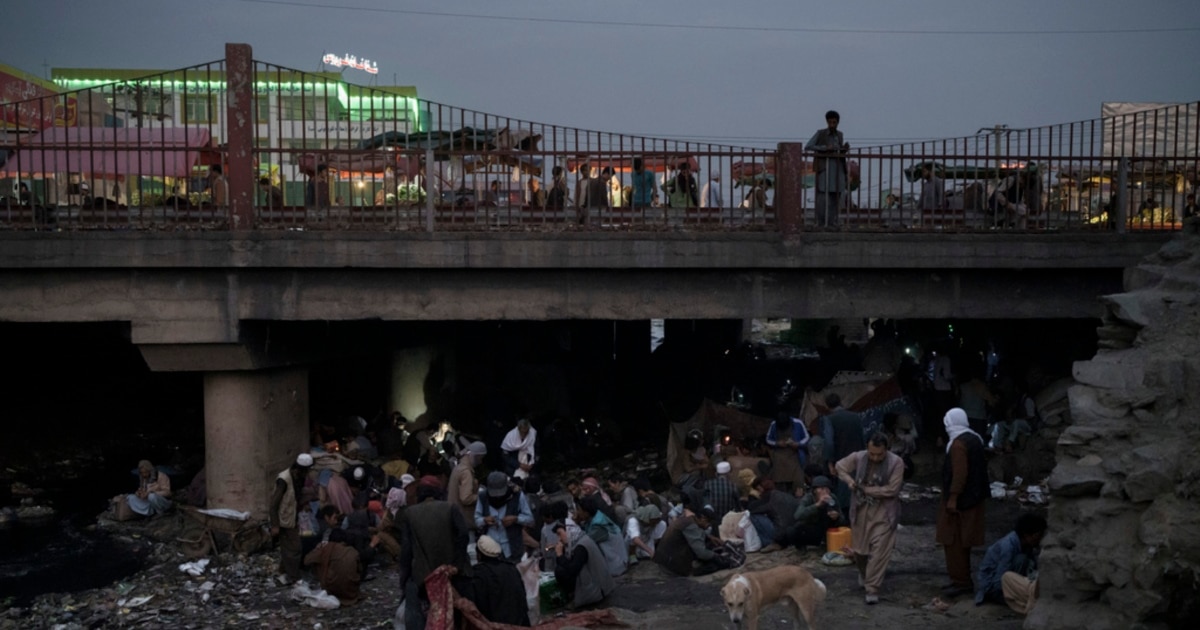 Afghanistan Is Fastest-Growing Maker of Methamphetamine, UN Says