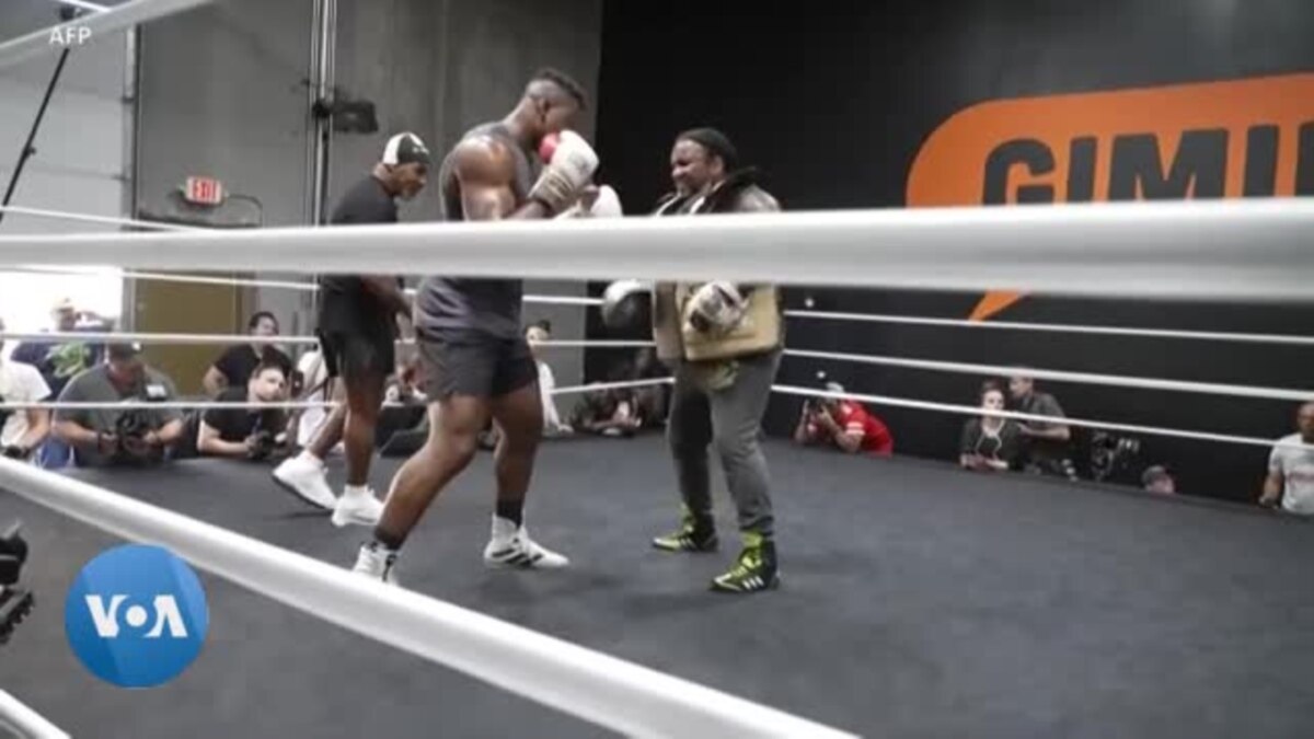 Boxe : le Camerounais Francis Ngannou se prépare avec Mike Tyson