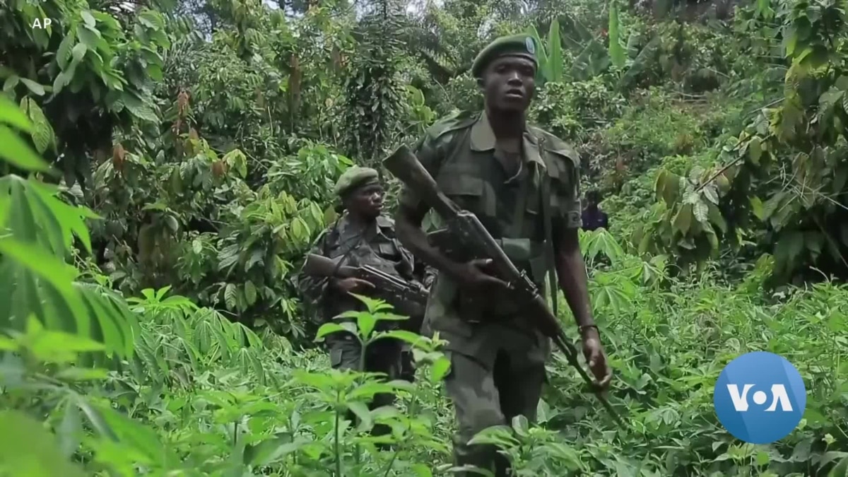 Encontradas valas-comuns no Kivu Norte, Rep. Democrática do Congo