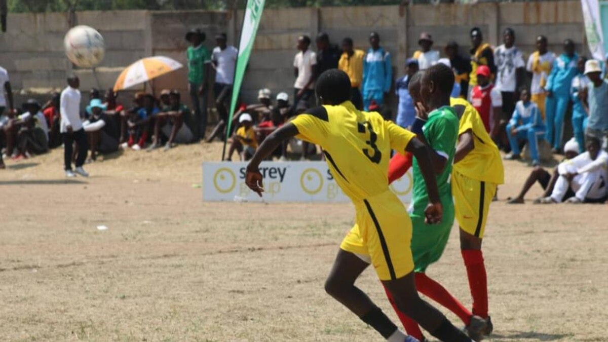 Isikolo seSt Eric Secondary Yizo Intshantshu Zalonyanyaka Eze2023 NASH ...