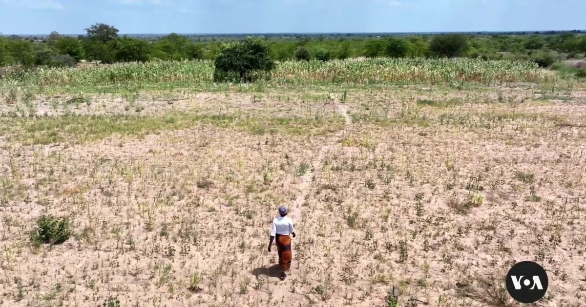 World Food Program: Zimbabwe's Food Insecurity Is Worsening