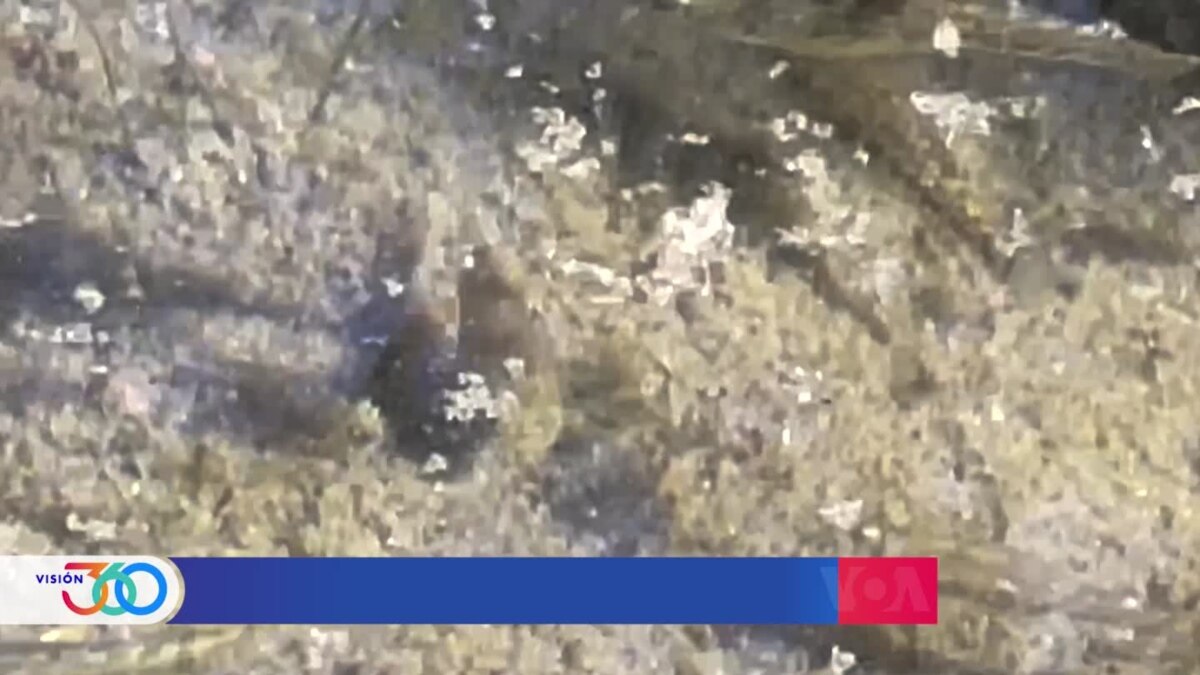 Esfuerzo binacional para proteger a un raro pez que habita la frontera ...